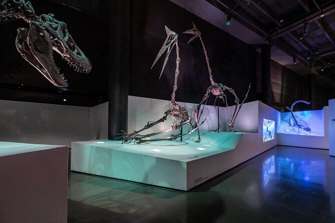 Houston Museum of Natural Science General Admission - Who Should Visit?