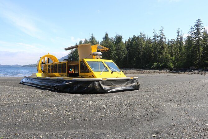 Hovercraft Eco Adventure and Wildlife Viewing - The Itinerary and Its Highlights