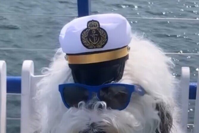 Howl O Ween Doggy Costume Party Cruise - Who It’s Best For
