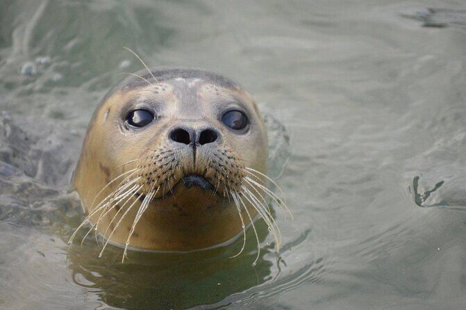 Hunstanton SEA LIFE Sanctuary General Admission Ticket - A Closer Look at the Itinerary