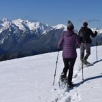 Hurricane Ridge Guided Snowshoe Tour in Olympic National Park - The Snowshoeing Itinerary