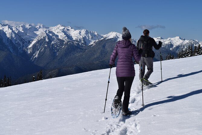 Hurricane Ridge Guided Snowshoe Tour in Olympic National Park - The Snowshoeing Itinerary