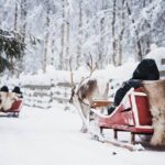 Husky and Reindeer Experience With Snowmobiling - Who Is This Tour Best Suited For?