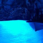 Hvar: Private Blue Cave and Vis Speedboat Tour - The Experience, Value, and Practicalities