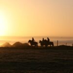 Hveragerdi: The Siggi Horse Riding Tour - The Practicalities: What to Expect