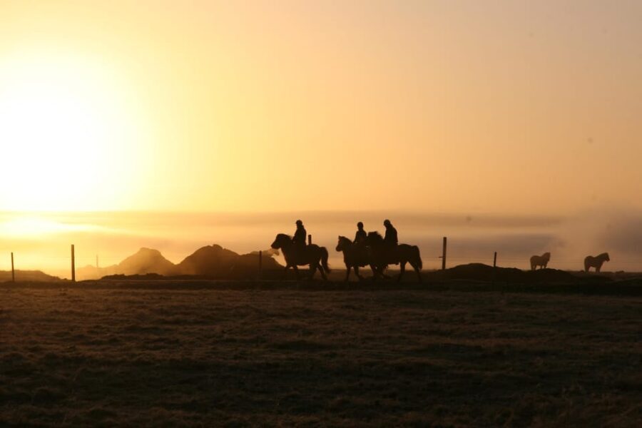 Hveragerdi: The Siggi Horse Riding Tour - The Practicalities: What to Expect