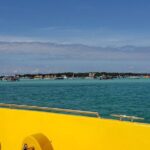Hydro Rocket Dolphin Sightseeing Boat Tour from Destin - The Practicalities: Cost, Duration, and Group Size