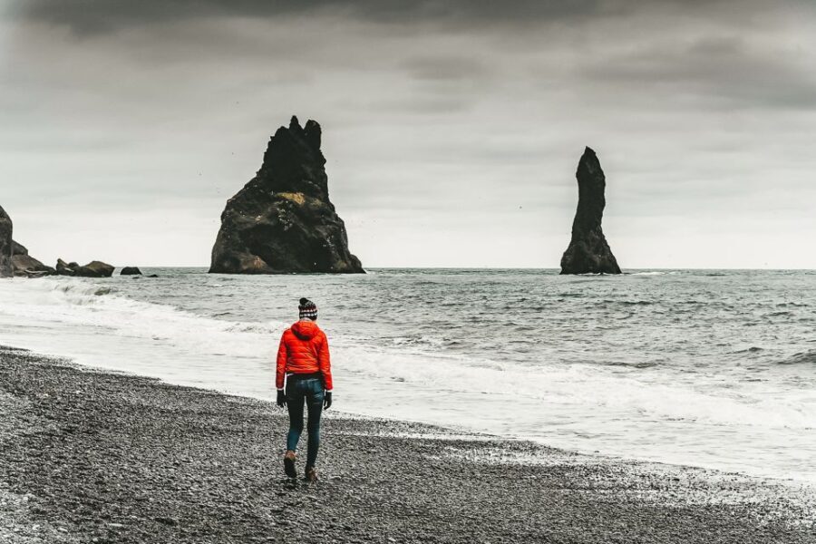 Iceland: Full-Day South Coast, Black Beach & Waterfalls Tour - The Practicalities: What You Need to Know