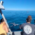 'Imiloa Express N Pali Snorkel Tour - Final Thoughts
