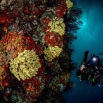 Immersion in Banco Santa Croce from Sorrento with Expert Guide - Frequently Asked Questions