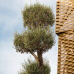 Immersive oil tourism in AOVEland by Oleícola Jaén - Final Thoughts: Who Will Enjoy This Tour?