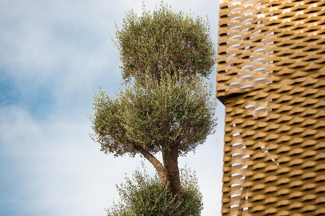Immersive oil tourism in AOVEland by Oleícola Jaén - Final Thoughts: Who Will Enjoy This Tour?