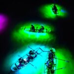 Inclusive Glass Boat Rental Peanut Island Snorkel Gear & Snacks - An In-Depth Look at the Peanut Island Glass-Bottom Kayak & Snorkel Tour