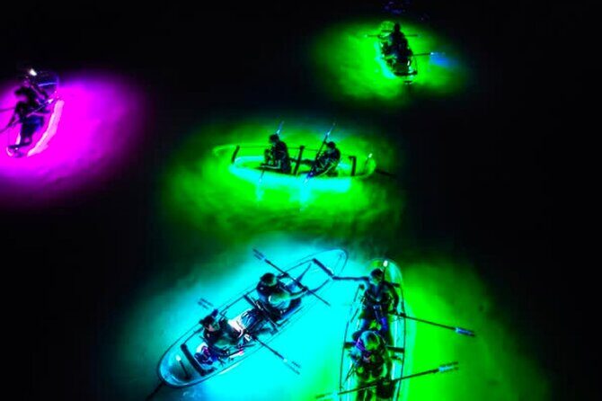 Inclusive Glass Boat Rental Peanut Island Snorkel Gear & Snacks - An In-Depth Look at the Peanut Island Glass-Bottom Kayak & Snorkel Tour