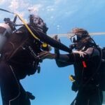 Incredibly Fun 2-Tank Boat Dive from Waikiki -Beginners Welcome - What to Expect During the Tour