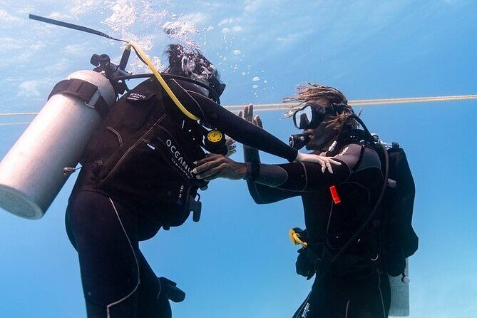 Incredibly Fun 2-Tank Boat Dive from Waikiki -Beginners Welcome - What to Expect During the Tour