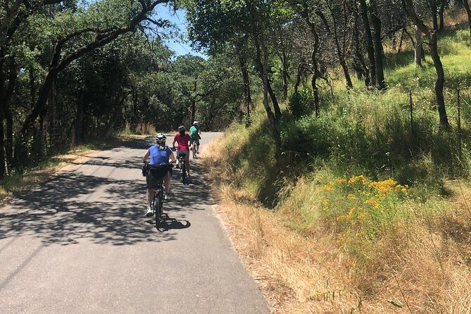 Independent Hassle-free Bike Rental in Sonoma - Why Choose This Bike Rental in Sonoma?
