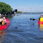 Indian River Clear Bottom Kayak or Paddleboarding Manatee and Dolphin Tour - Comparing the Value