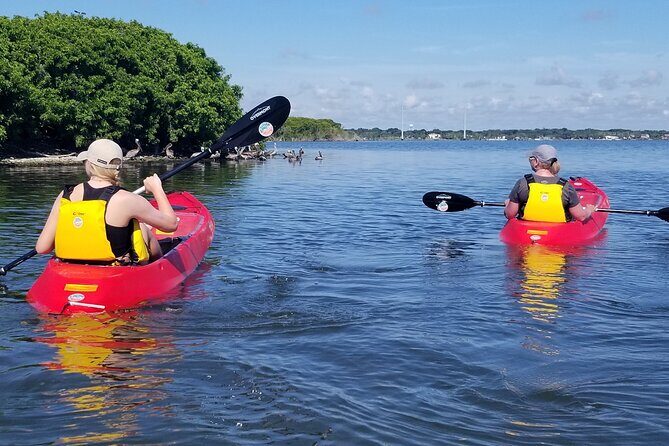 Indian River Clear Bottom Kayak or Paddleboarding Manatee and Dolphin Tour - Comparing the Value