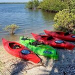 Indian River Lagoon Preserve Kayak Tour - Cost-Effectiveness and Value