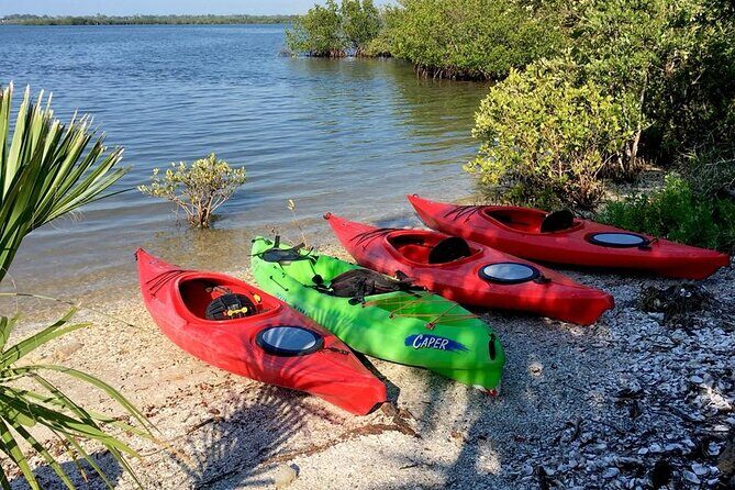 Indian River Lagoon Preserve Kayak Tour - Cost-Effectiveness and Value