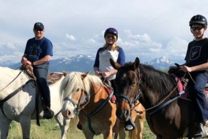 Indoor Horsemanship - Who Will Appreciate This Tour?