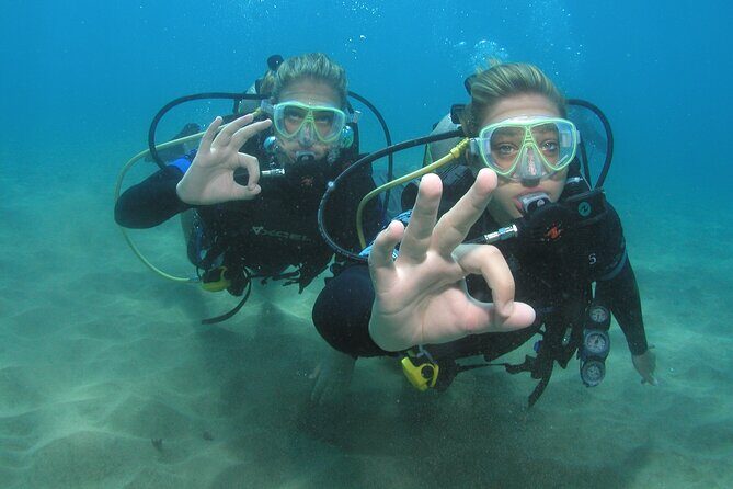 Intro/Refresher Dive Swim Ability Required - The Value of This Scuba Intro Course
