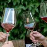 Intro to Wine Tasting with Napa Sommelière - Why Choose This Tour? The Bottom Line