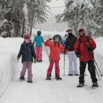 Introductory Guided Snowshoe Tour - The Secluded Winter Trail
