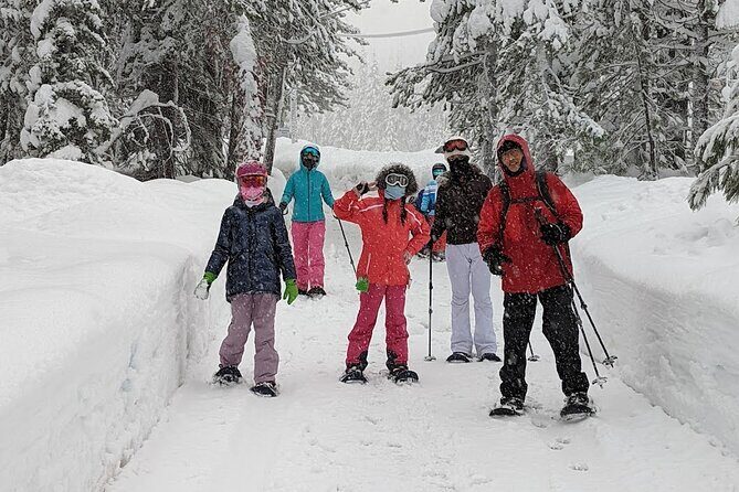Introductory Guided Snowshoe Tour - The Secluded Winter Trail