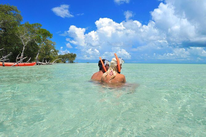 Island Adventure Eco Tour  Explore Key Wests Hidden Backcountry - Why This Tour Works