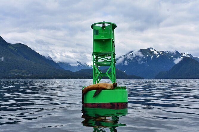 Island Discovery Kayak Paddle in Sitka, Alaska - Who Is This Tour Best For?