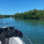 Island Hop Sandbar Adventure - Real Traveler Insights: What People Say