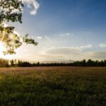 Island Park, Idaho Waterfalls and Wildlife - What Makes This Tour Stand Out?