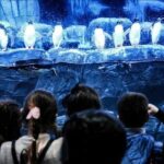 Istanbul Aquarium and Aqua Florya Independent Shopping Trip - The Itinerary in Detail