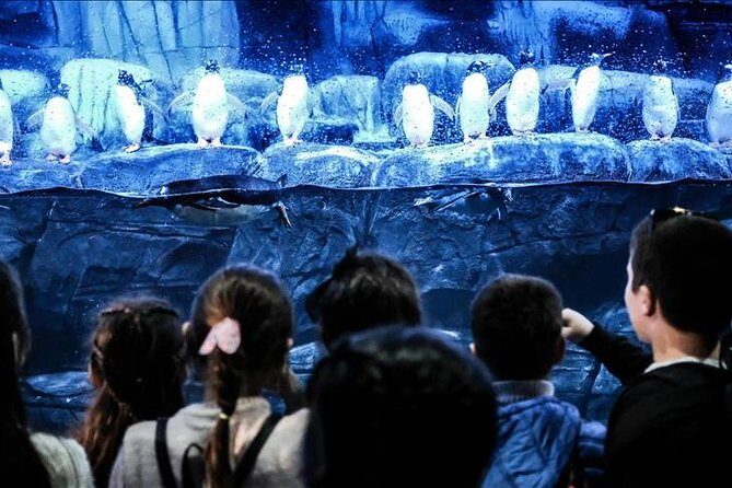 Istanbul Aquarium and Aqua Florya Independent Shopping Trip - The Itinerary in Detail