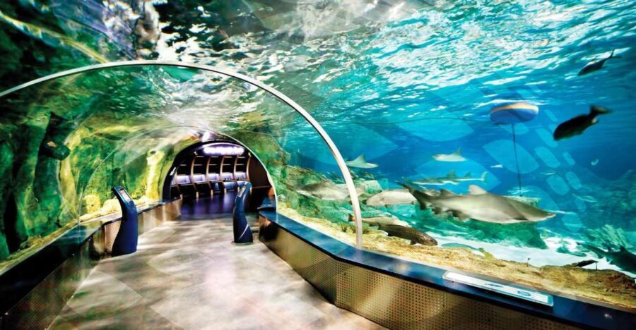 Istanbul Aquarium and Aqua Florya Shopping Mall Tour - What Real Travelers Are Saying