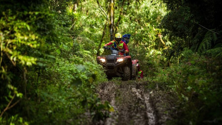 Istanbul: Belgrad Forest ATV Tour with Ziplining Option - Detailed Breakdown of the Experience