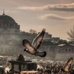 Istanbul: Full-Day Private Guided Tour - A Tour That Combines the Classics and the Local Flavor