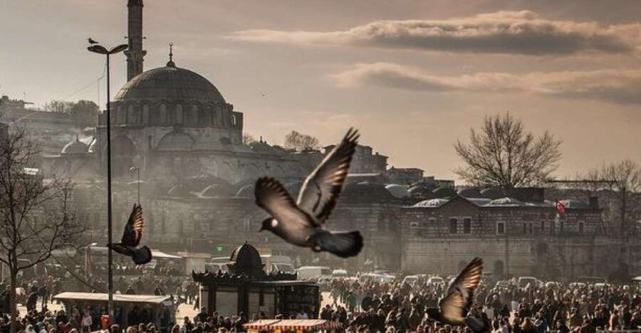 Istanbul: Full-Day Private Guided Tour - A Tour That Combines the Classics and the Local Flavor