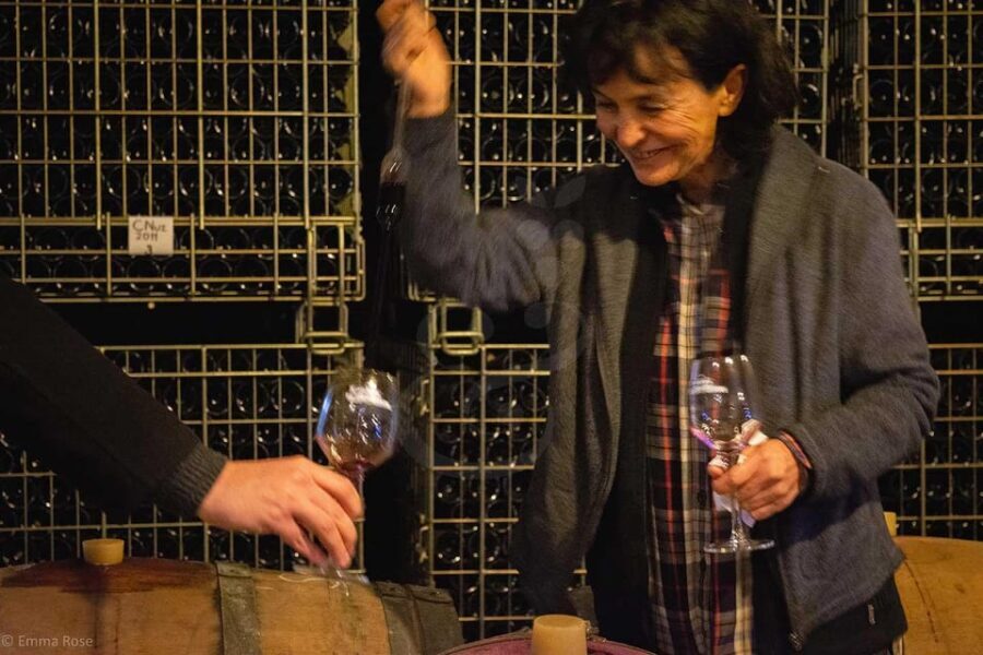 Istanbul: Private Wine Tasting Day Trip to Tekirdag - The Itinerary in Detail
