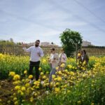Istria Wine Tour from Rijeka and Opatija - Key Points