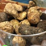Istrian hill top cities tour with truffle and olive oil tasting - What to Expect from the Itinerary