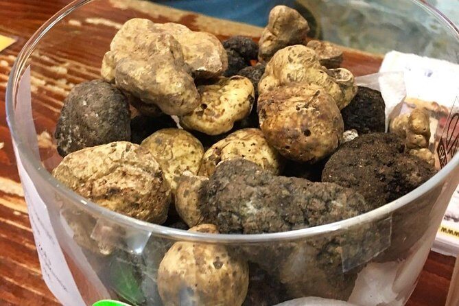 Istrian hill top cities tour with truffle and olive oil tasting - What to Expect from the Itinerary