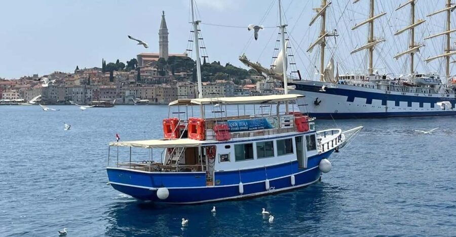 Izlet brodom iz Vrsara: Zalazak sunca i druenje s delfinima - Itinerary Breakdown
