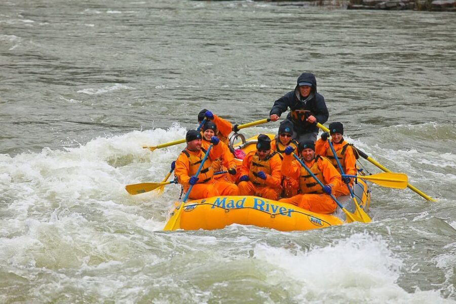 Jackson: 8-Mile Small-Boat Whitewater Rafting Trip - How It Compares to Other Experiences