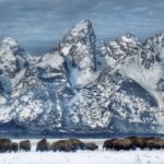 Jackson: Grand Teton and National Elk Refuge Winter Day Trip - Transportation and Group Size