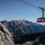 Jackson Hole: Aerial Tram and Gondolas Admission Ticket - The Top of Rendezvous Mountain: What Youll See and Do