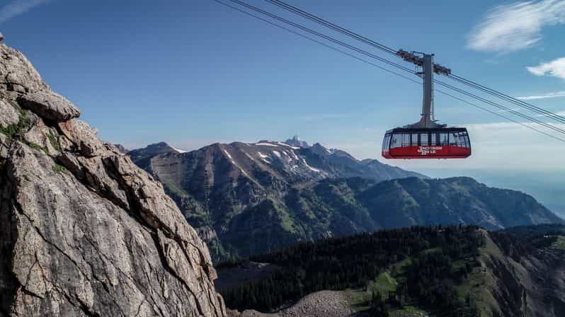 Jackson Hole: Aerial Tram and Gondolas Admission Ticket - The Top of Rendezvous Mountain: What Youll See and Do