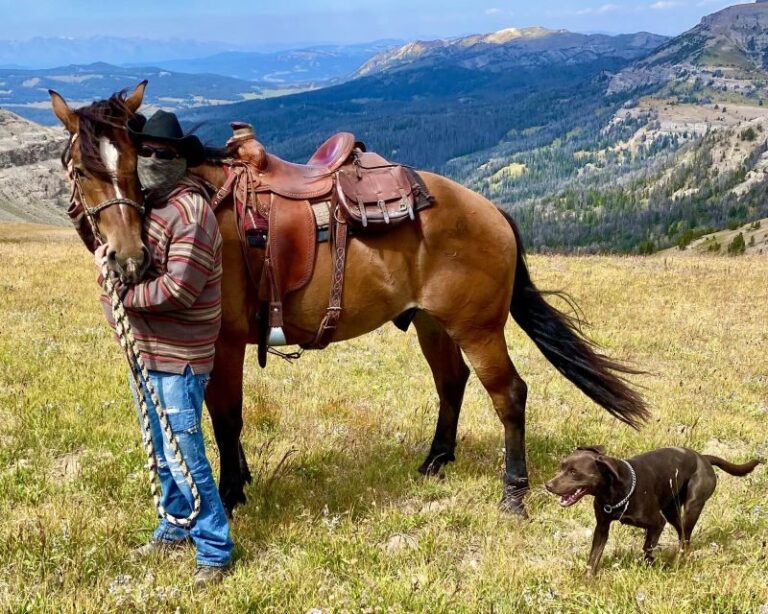 Jackson Hole: Dinner Cookout & Bridger-Teton Horseback Ride - Itinerary Breakdown